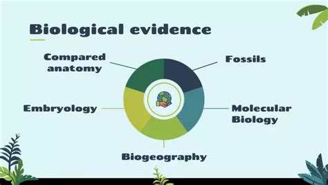 Ppt Evidences Of Evolution Profesocial
