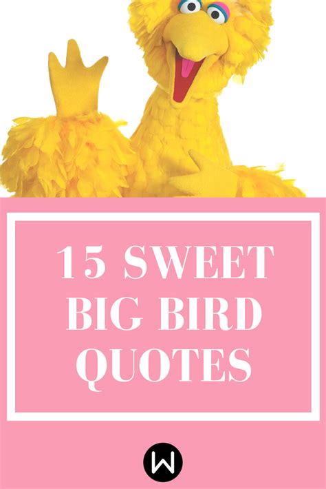 Sesame Street Life Quotes Avis Clancy