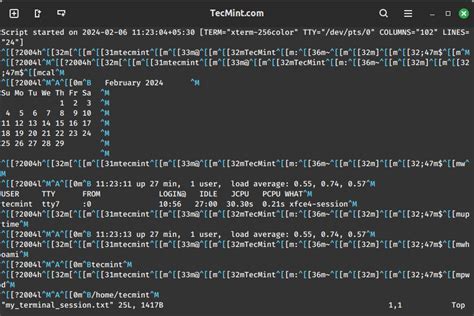如何记录和重播 Linux 终端会话