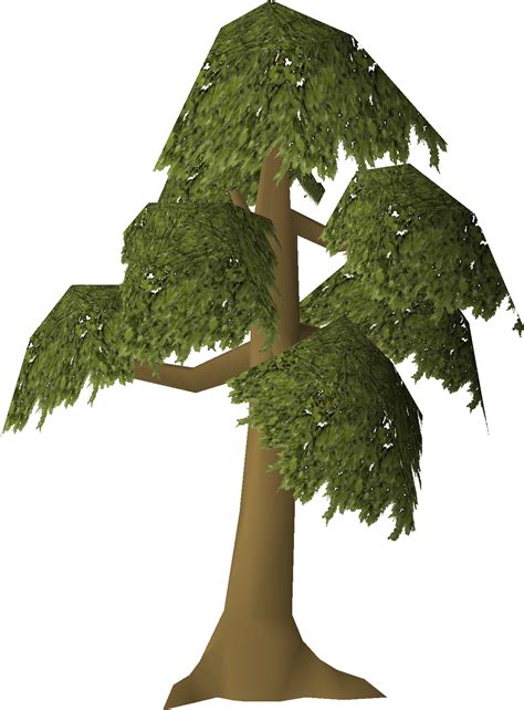 Fileyew Tree Choppablepng Osrs Wiki