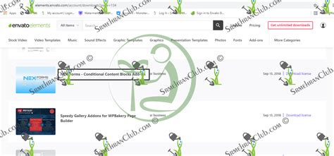 Nex Forms Conditional Content Blocks Add On