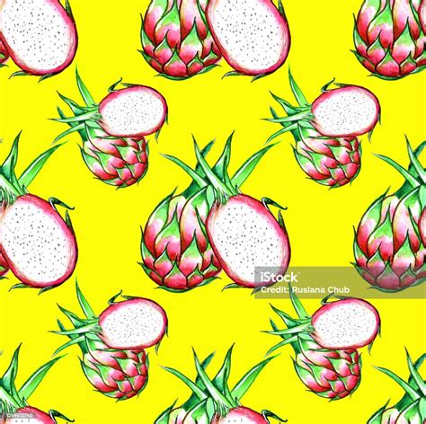 피타하야 수채화로 그려진 드래곤 과일 포장지 직물 인쇄 커버를위한 매끄러운 패턴 0명에 대한 스톡 벡터 아트 및 기타 이미지 Istock