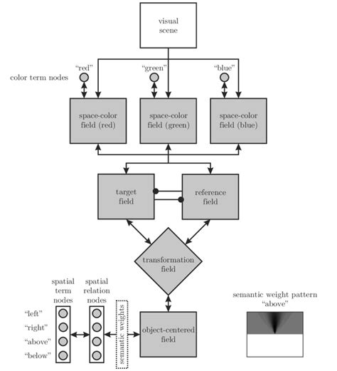 1 Dnf Architecture For Spatial Language Behaviors Twodimensional Dnfs Download Scientific