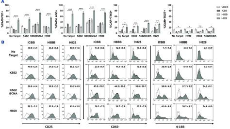 Exhaustion And Activation Profile Of Bcma Car T Cells A Bcma Car T Download Scientific