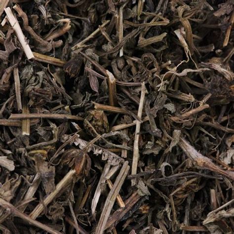 Chrysanthellum Americanum