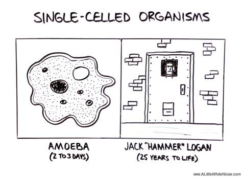 White Noise Examples Of Single Celled Organisms