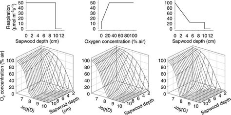Model Calculations Showing The Effect Of The Diffusion Coefficient D Download Scientific