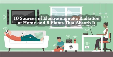 Sources Of Electromagnetic Radiation And Plants To Have At Home