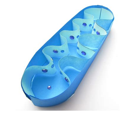 Mitochondria Model Project