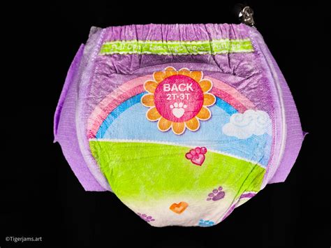 Huggies Pull Ups Learning Designs Training Pants 2t 3t … Flickr
