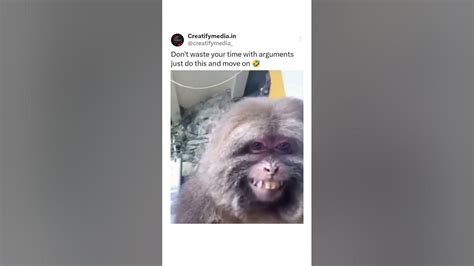 Watch Till End 😯 🤣stop Argument Monkey Hehe Comedy Asmr