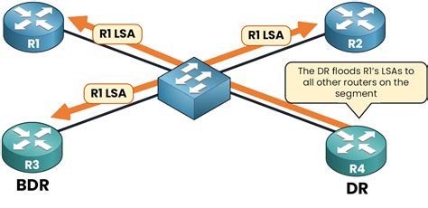Ospf Dr And Bdr Explained