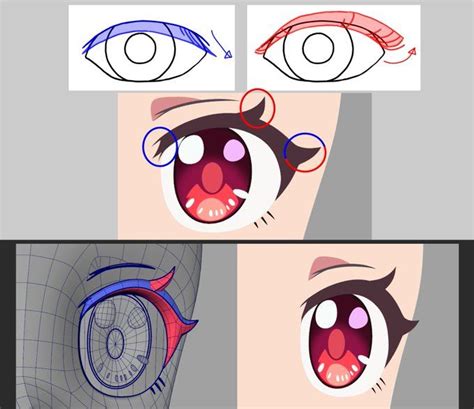 Topology