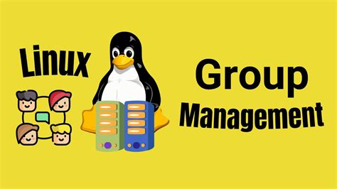 Linux Group Management Youtube