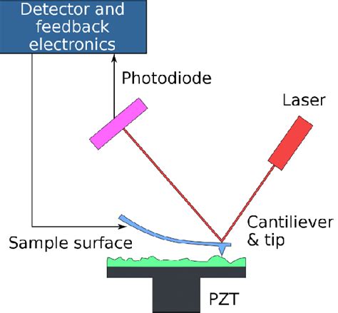 Atomic Force Spectroscopy Device Scheme Download Scientific Diagram