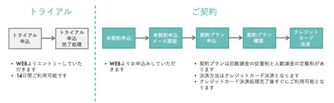 プログラミングスキル判定サービス topsic