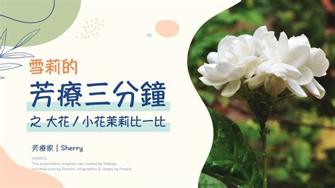 大花茉莉跟小花茉莉差在哪裡？雪莉講給你聽｜雪莉的芳療三分鐘（這次變四分鐘啦～）｜芳療家 Youtube