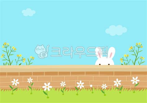 봄 토끼 꽃 담장 유채꽃 사진 이미지 일러스트 캘리그라피 Yisoh작가