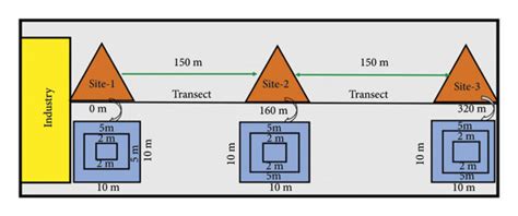 Diagram Of Sampling Design Of The Study Area Of The Bhawal Sal Forest Download Scientific