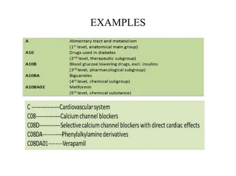 Fundamentals Of Atc Coding Ddd And Inn Classification Pptx
