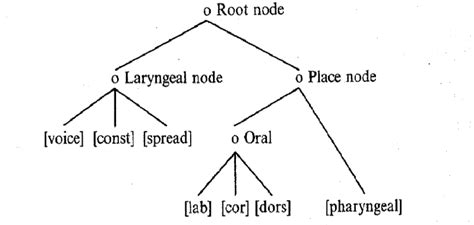 Mccarthys Unified Feature Geometry Download Scientific Diagram