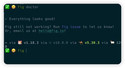 fig can t work · issue 1564 · withfig fig · github