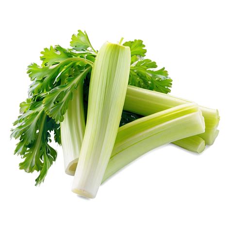 Download Celery Stalk Png 06252024