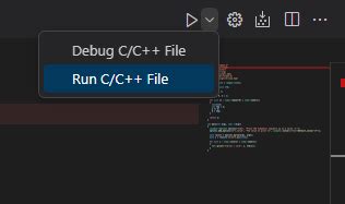 C VSCode Include Errors Stack Overflow