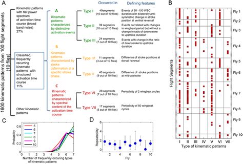 Classification Summary And Repeatability Of Kinematic Patterns A 1600