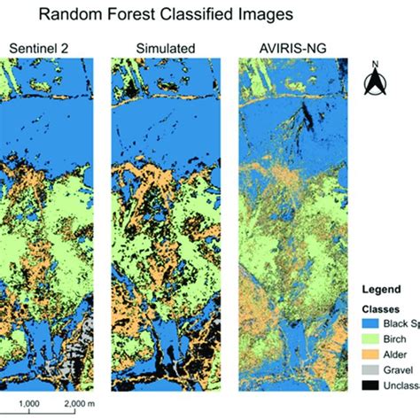 Tree Species Classification Map Generated Using The Random Forest Download Scientific Diagram