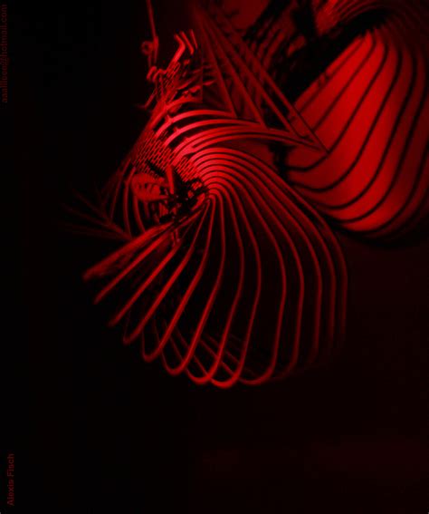 Morphology Developable Surfaces 1 By Alexis Fisch At