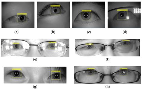Robust Iris Localization Algorithm In Non Cooperative Environments Based On The Improved Yolo V4