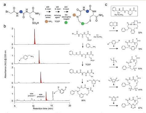 Figure 4 From Macrocycle Synthesis Strategy Based On Step Wise “adding And Reacting” Three