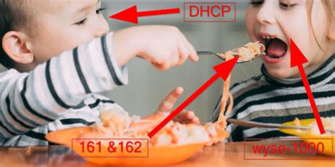 Need To Get Dhcp Settings From Static Server Networking Spiceworks