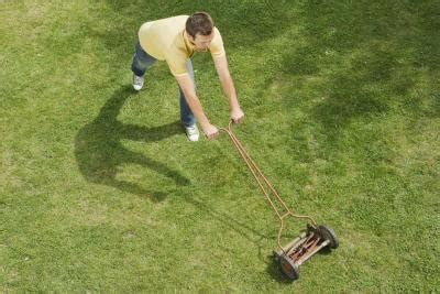 What Is Scalping a Lawn? | Home Guides | SF Gate
