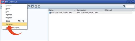 SAP GUI Security Troubleshooting