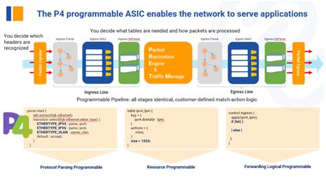What You Should Know About P4 Programming Languageand P4 Programmable