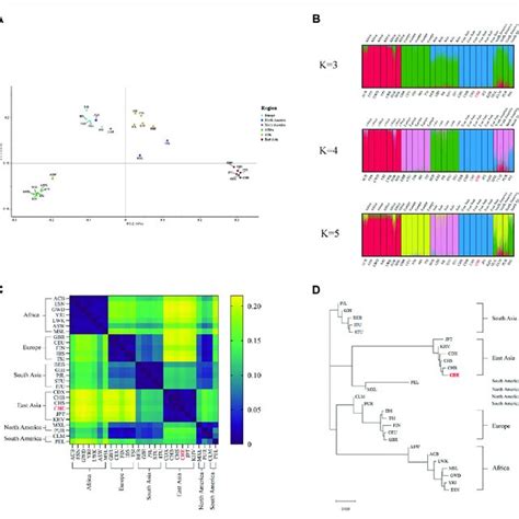 Ancestry Inference Analysis A PCA Of 27 Populations B STRUCTURE Download Scientific
