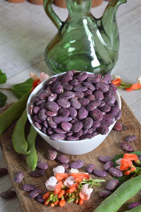 Dwarf Runner Bean Hestia Premier Seeds Direct