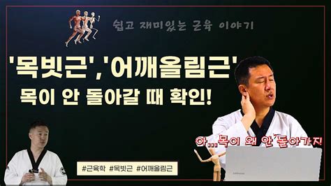 목이 안 돌아갈 때 목빗근 살펴보세요 네이버 Tv