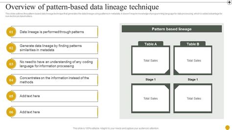 Data Lineage It Overview Of Pattern Based Data Lineage Technique Ppt