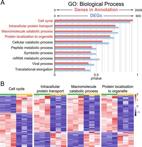 Go Biological Analysis On Mm Dataset A Go Biological Process Analysis Download Scientific