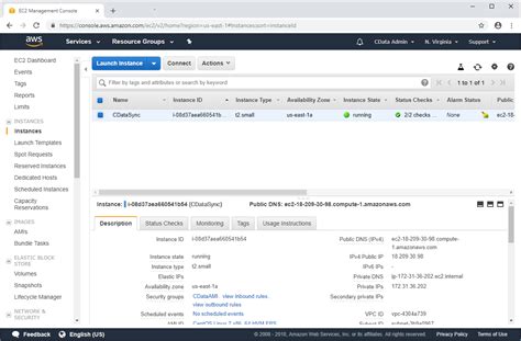 Launch The Cdata Sync Ami On Amazon Web Services