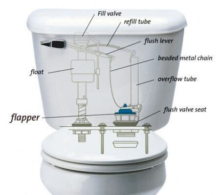 Plumbing Parts For Toilets Reviewmotors Co