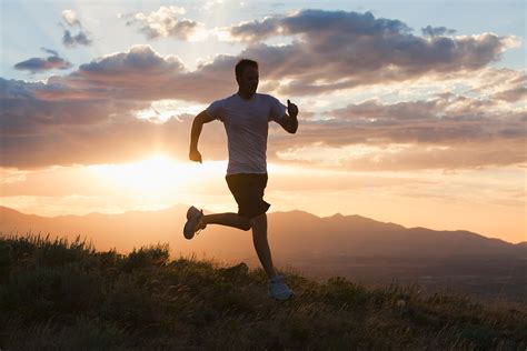 The Good and Active Lifestyle – The Rots