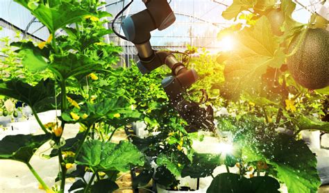 Can Artificial Intelligence Replace Essential Pollinators Live Bee