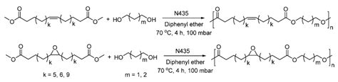 Polymers Free Full Text Enzymatic Synthesis Of Biobased Polyesters And Polyamides