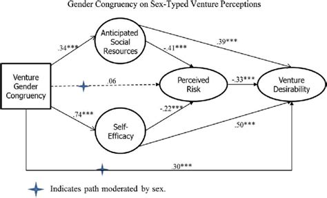 Gender Congruency On Sex Typed Venture Perceptions P