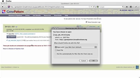 Using Igv Through Genepattern V2 Youtube