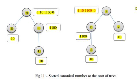 Graph Theory I Can Not Find My Mistake In Ahu Algorithm To Detect If Two Trees Are Isomorphic